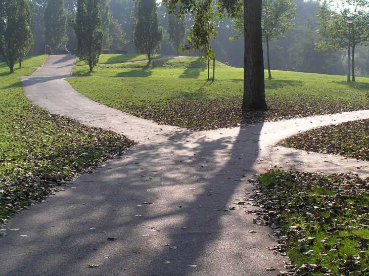 cross paths.jpg -- January 4, 2010 11:59 am -- 981k