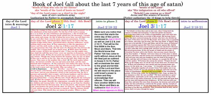 Book of Joel made easy.png -- 211k