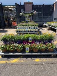 "Tuttle, Jason" 2025