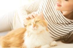 Sarah Feltner - Business Professional - Baker