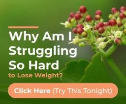 Why am I struggling so hard to lose weight?